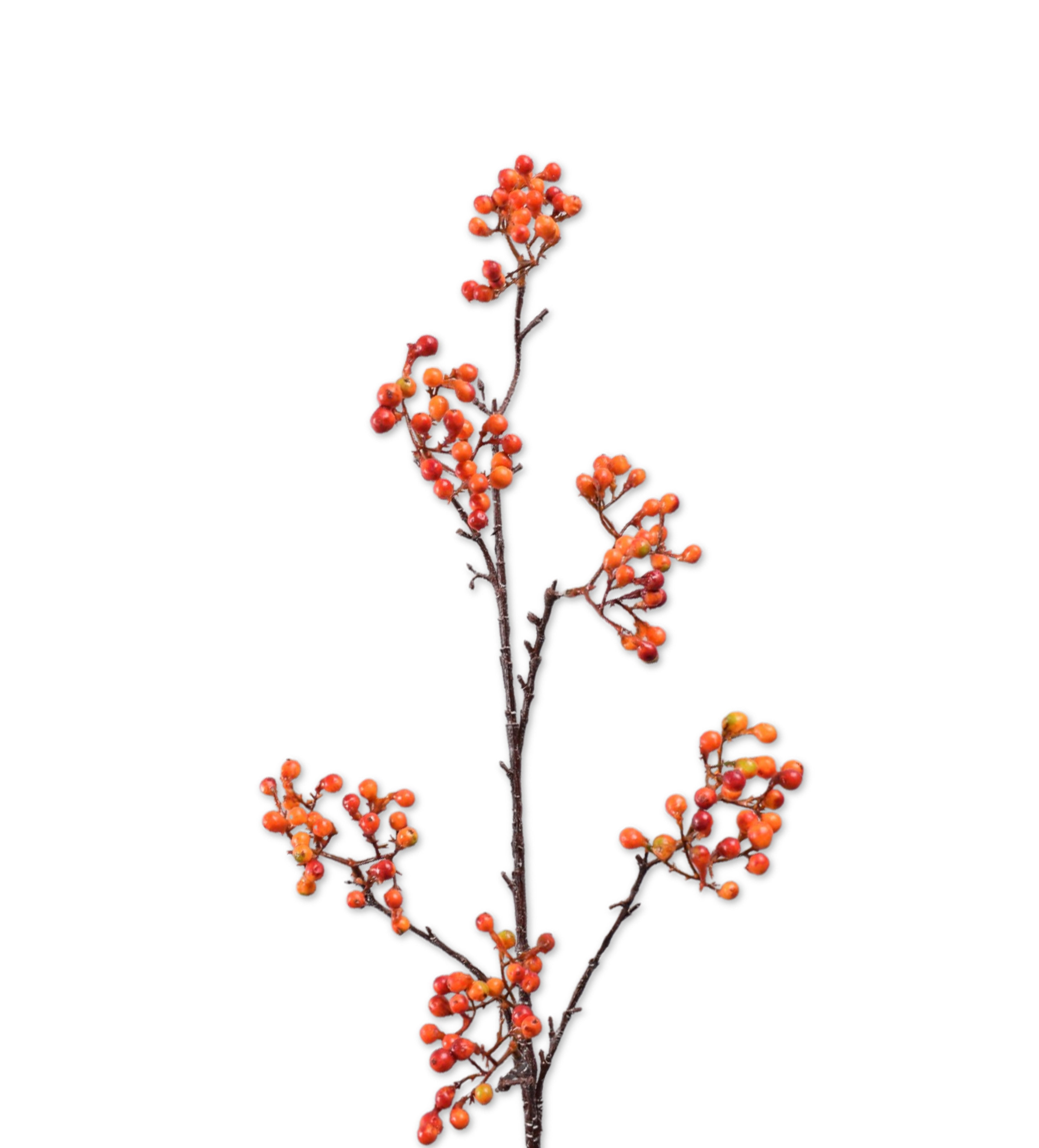 Faux Berry Stem - Orange | OKA