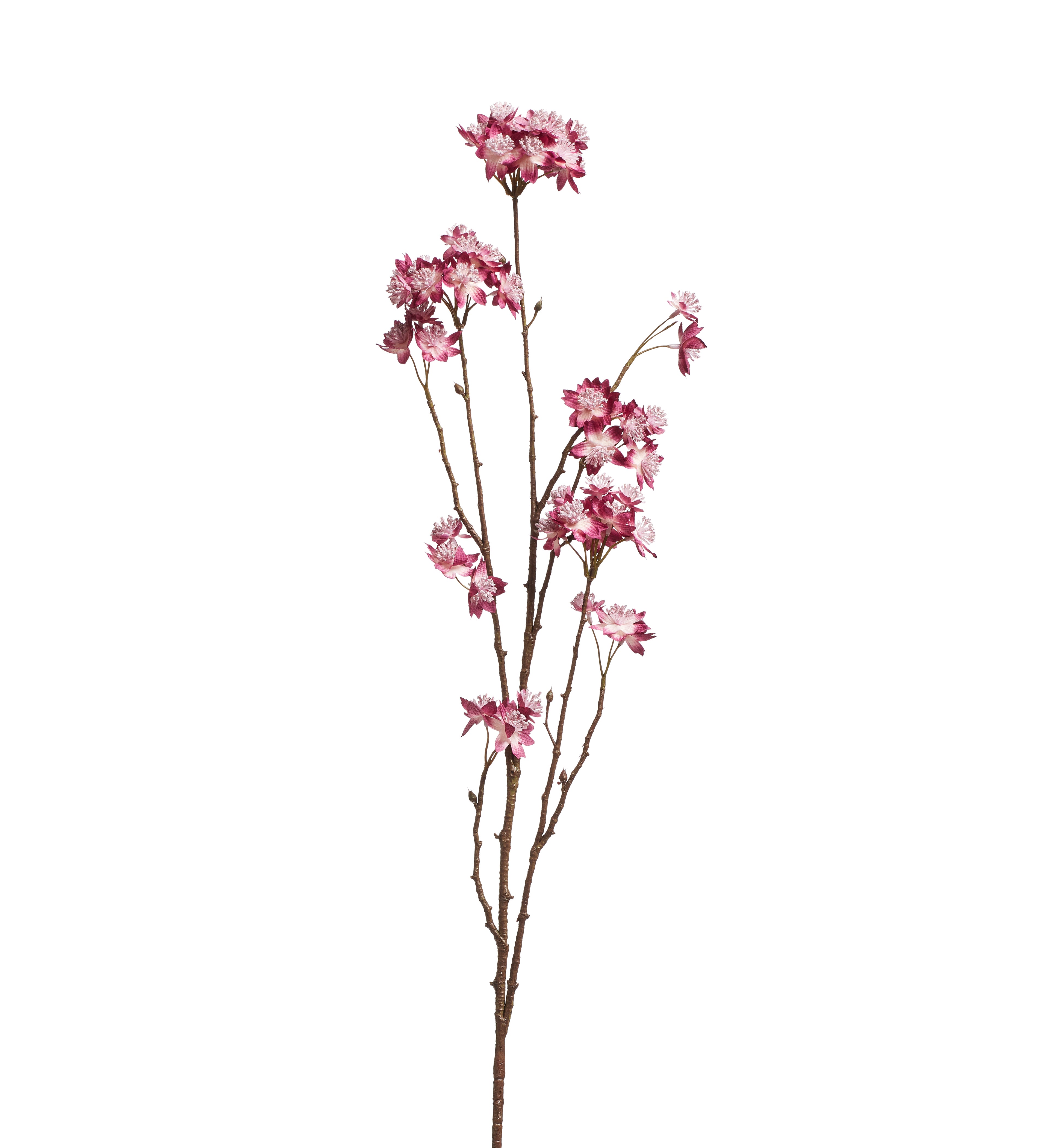 Faux Astrantia Stem - Pink | OKA