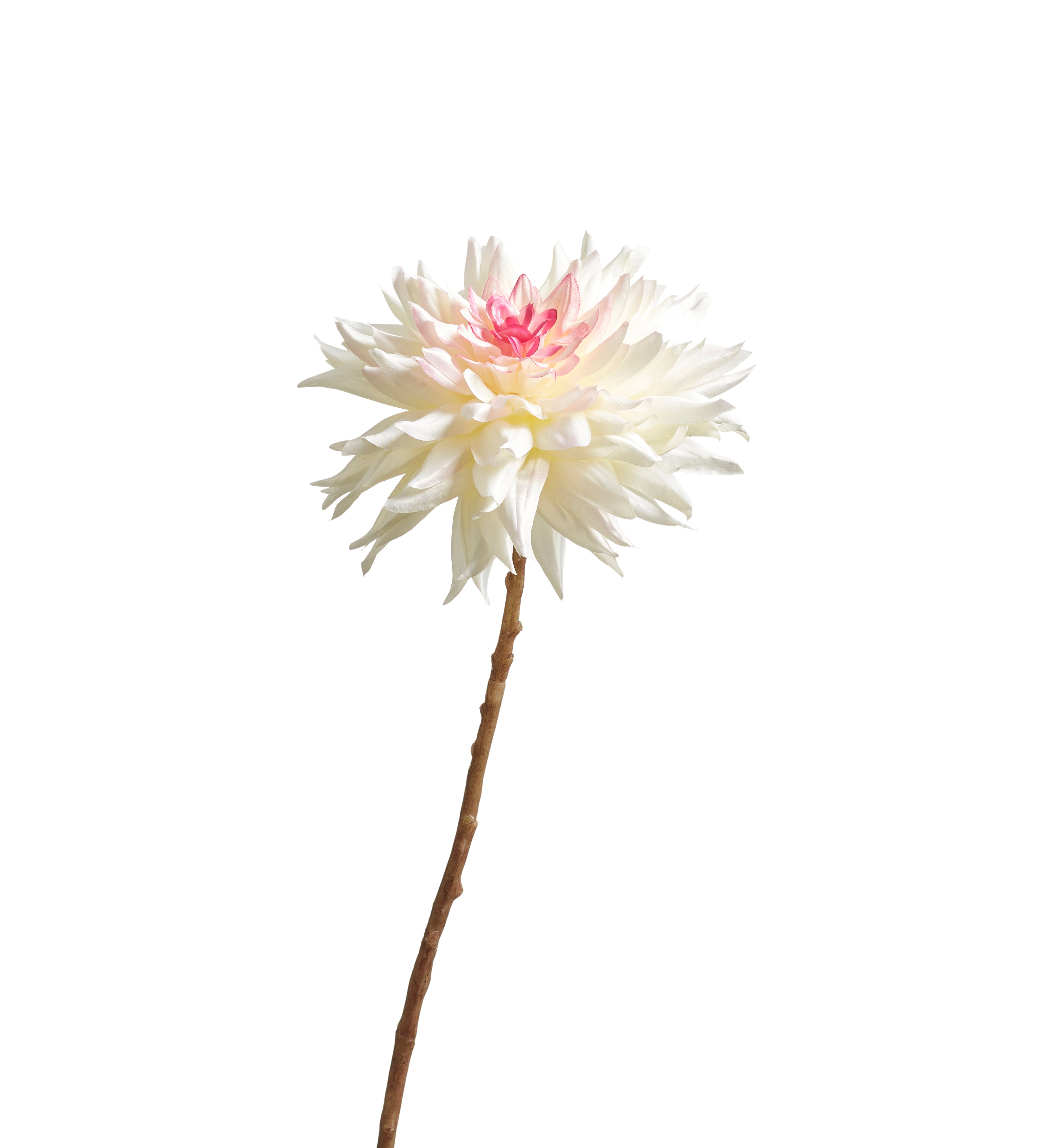 Faux Dahlia Stem - Pink/White | OKA