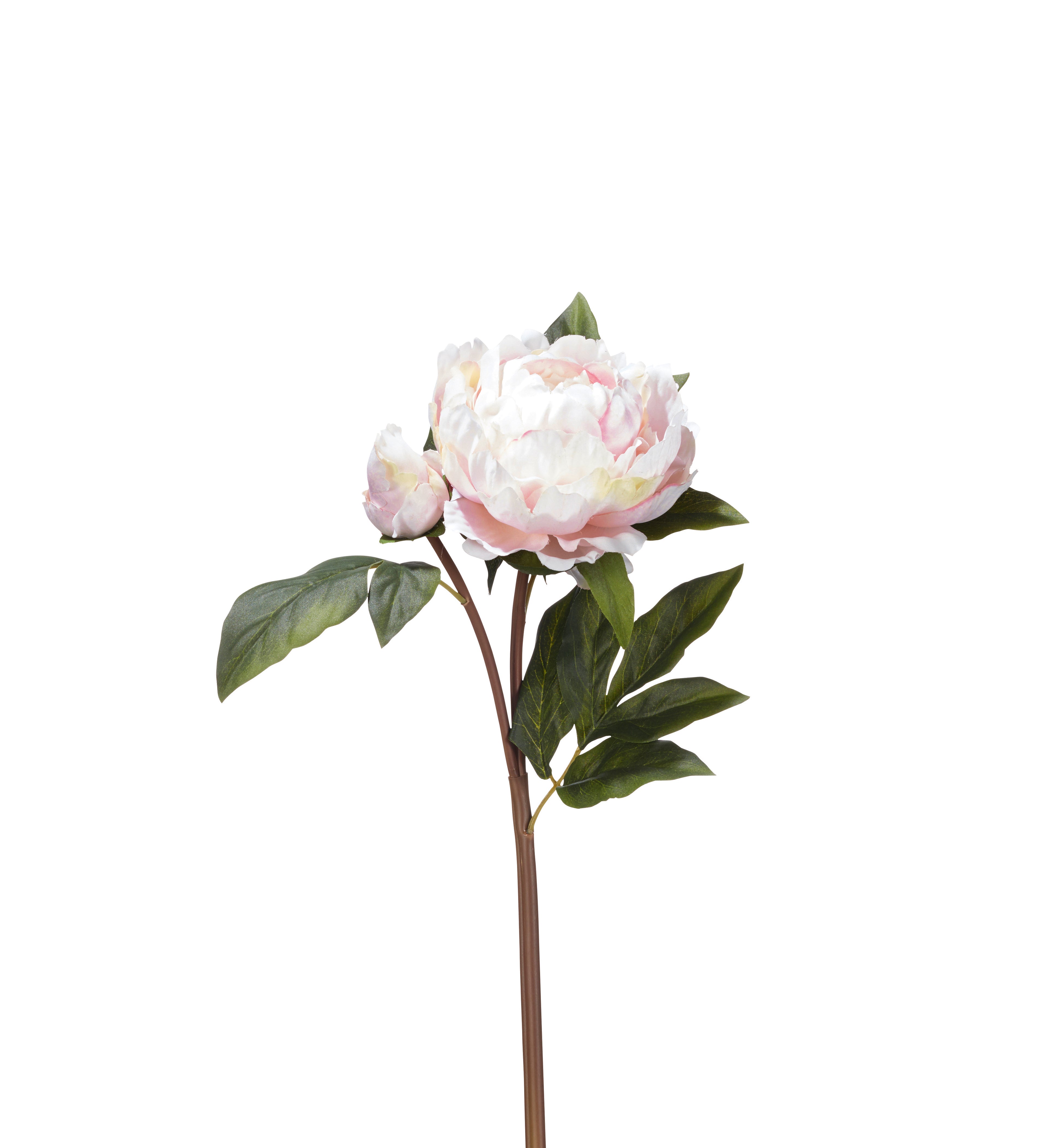 Faux Full Peony Stem - Pale Pink | OKA