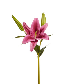 Faux Lily Stem - Pink | OKA