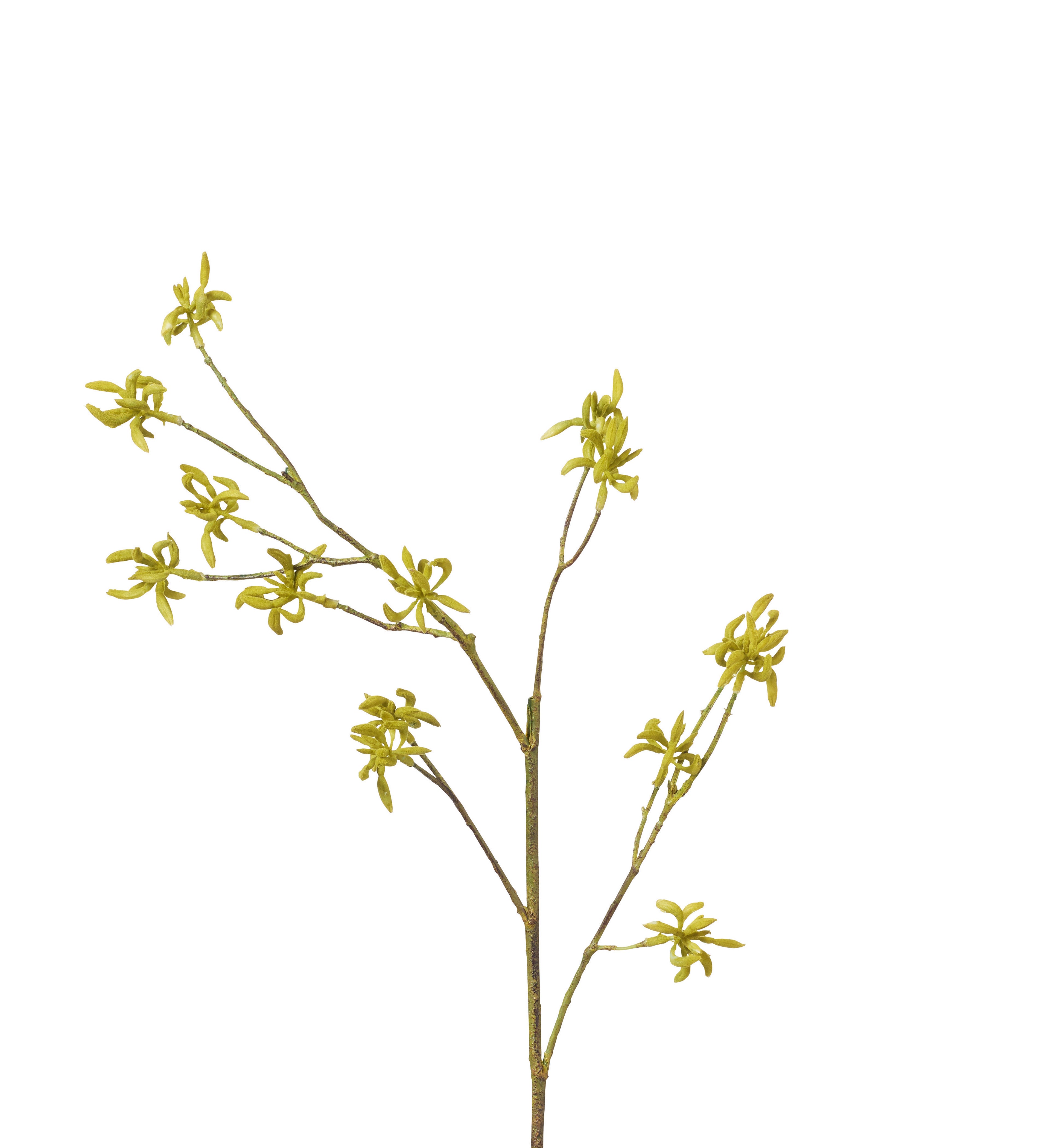 Faux Maple Bud Branch - Green | OKA