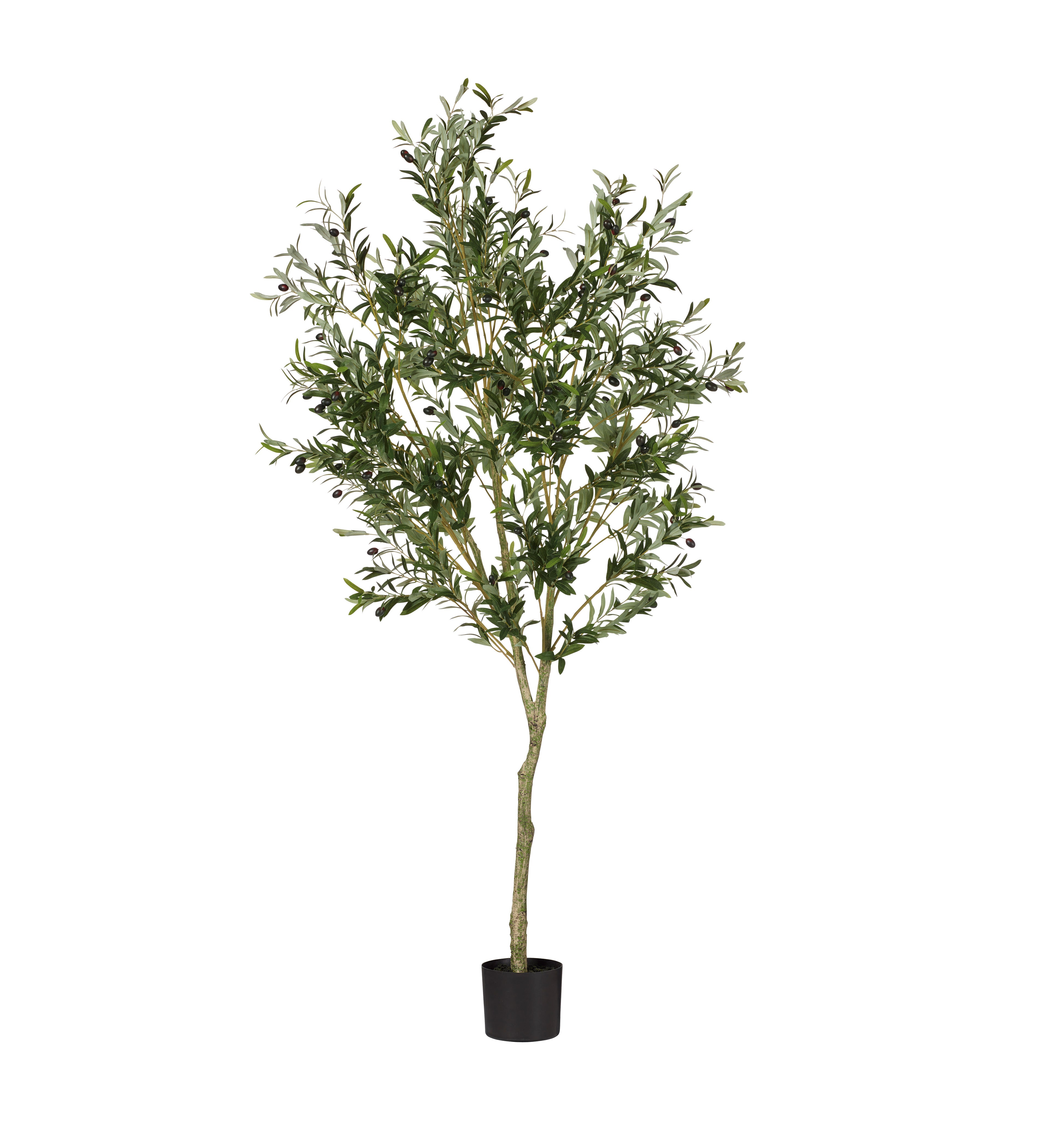 Faux Potted Olive Tree - Large - Black | OKA