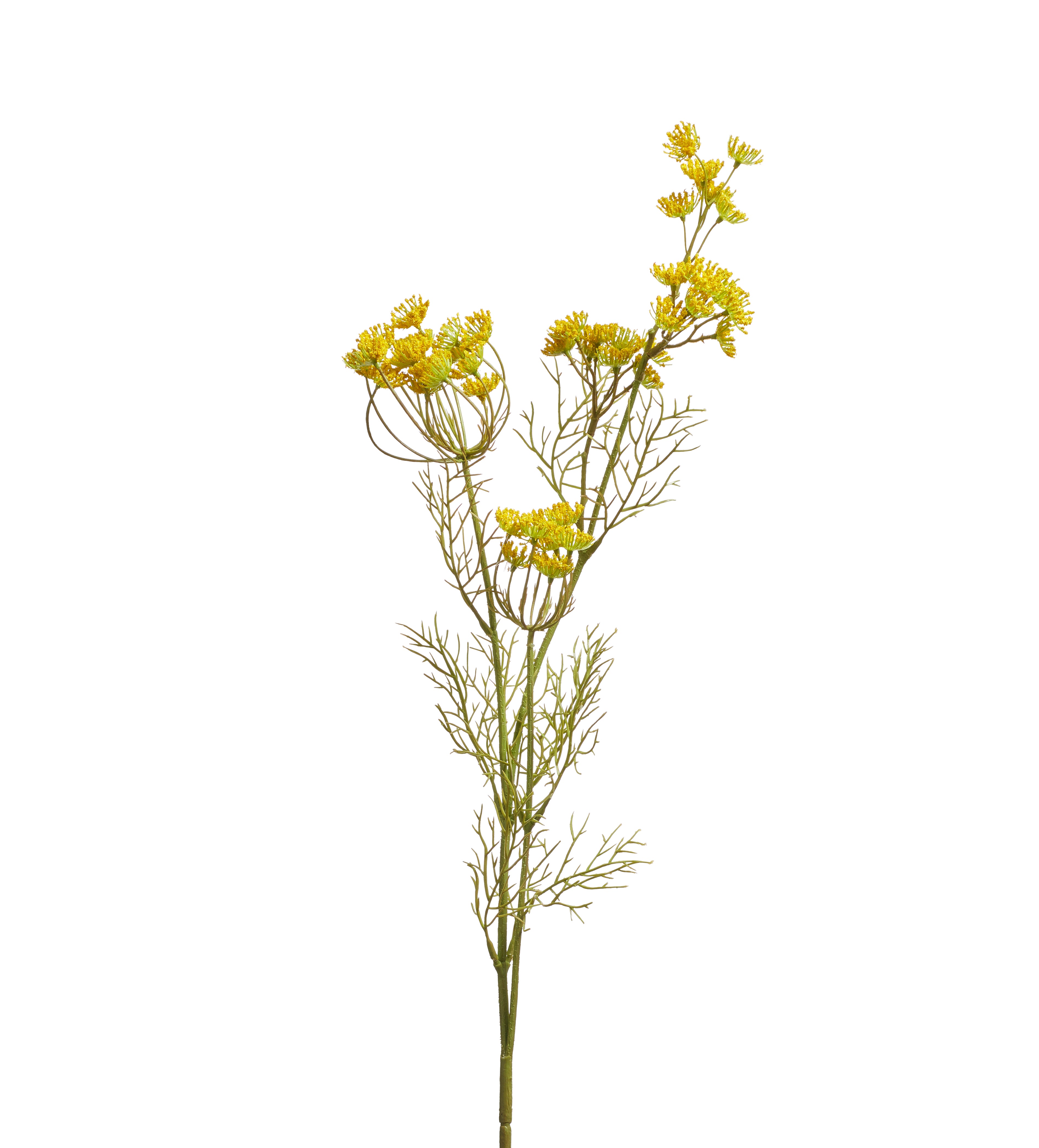 Faux Queen Anne's Lace Stem - Yellow | OKA
