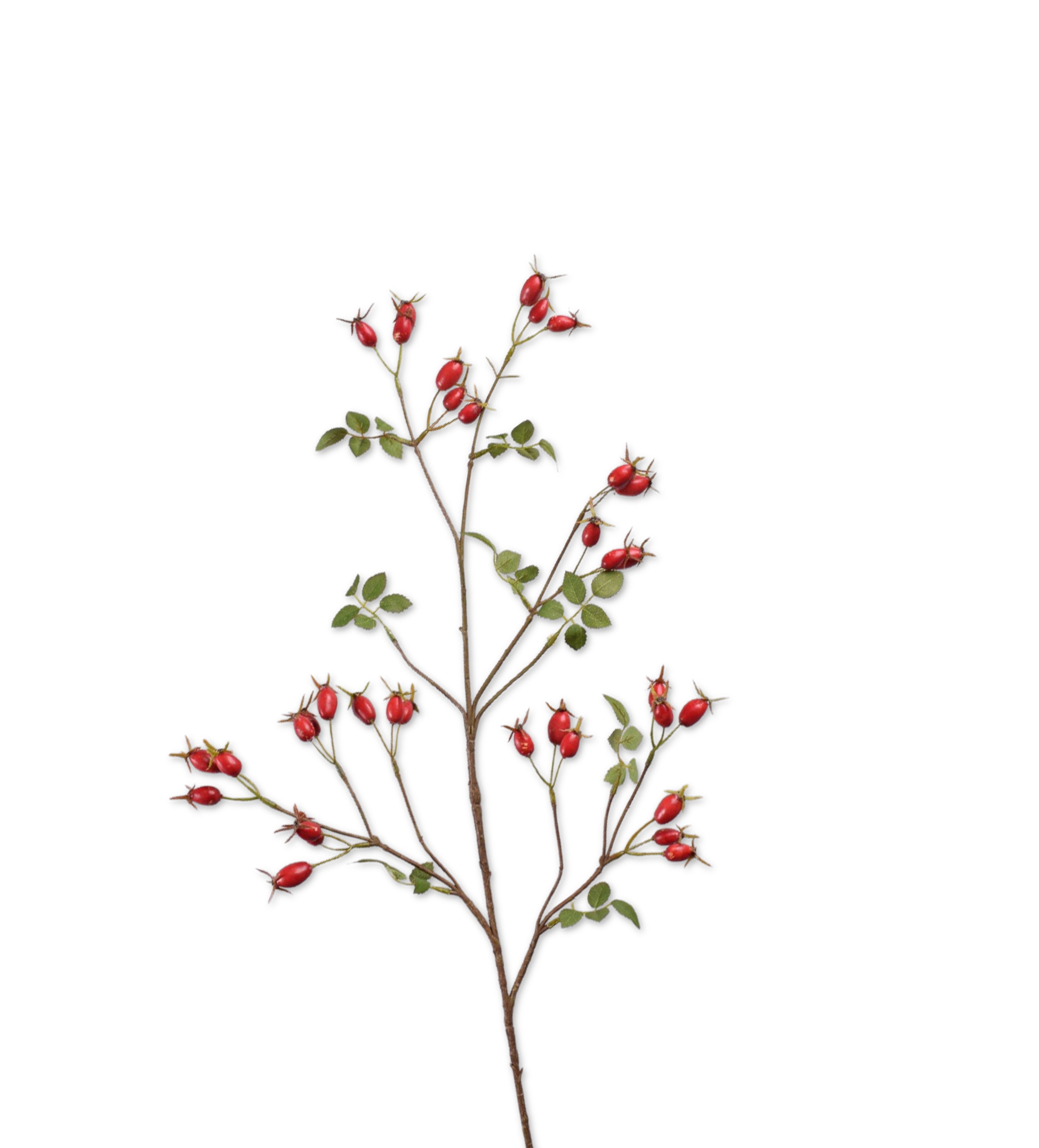 Faux Rose Hip Berry Stem - Red | OKA