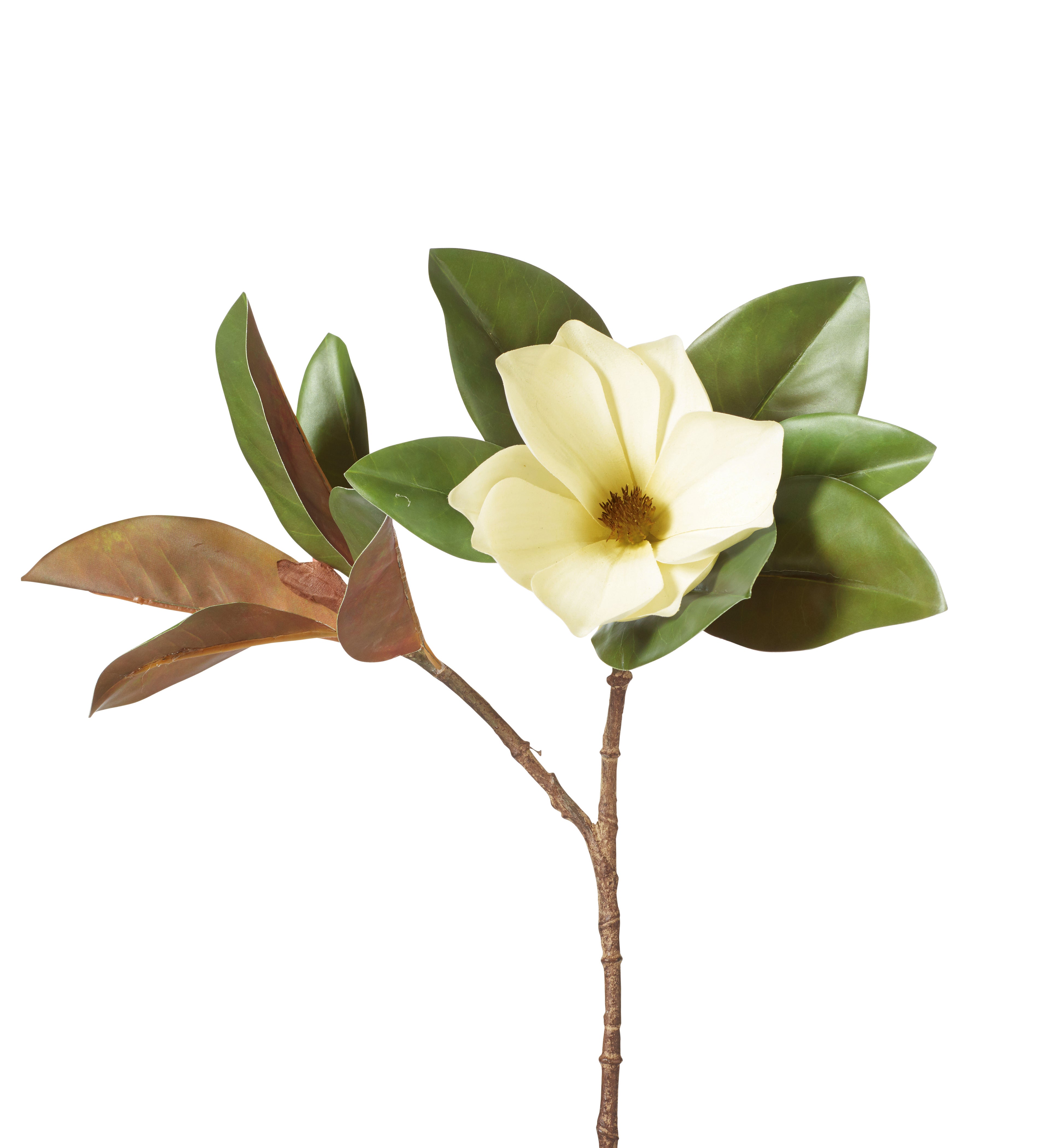 Faux Single Magnolia Stem - White | OKA