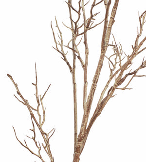 Faux Spiky Twig Branch - Natural | OKA