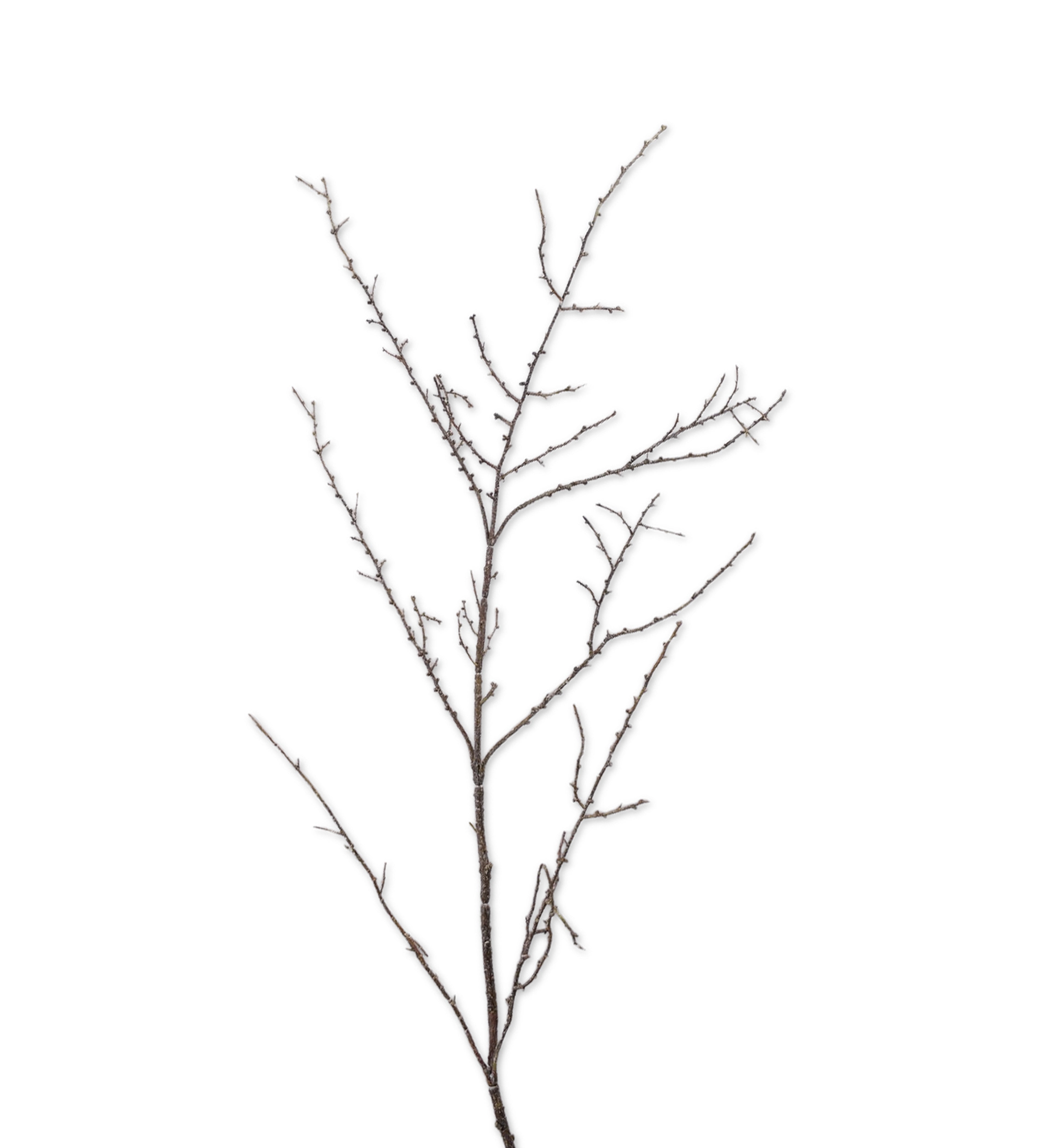 Faux Spiky Twig - Brown | OKA