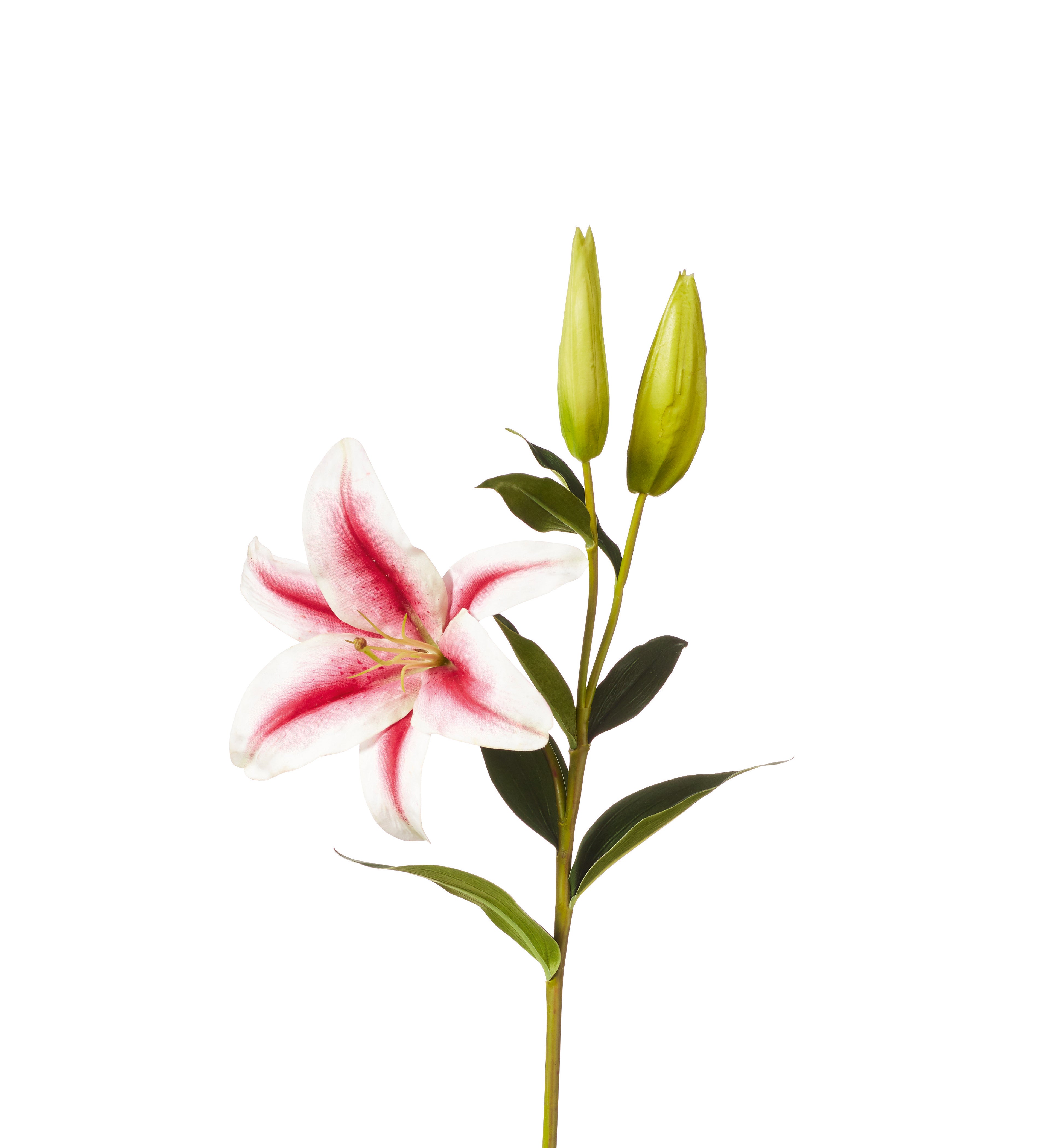 Faux Stargazer Lily Stem - Pink | OKA