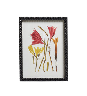 Anna Framed Botanical Prints - Set of Six - Multi-Coloured | OKA