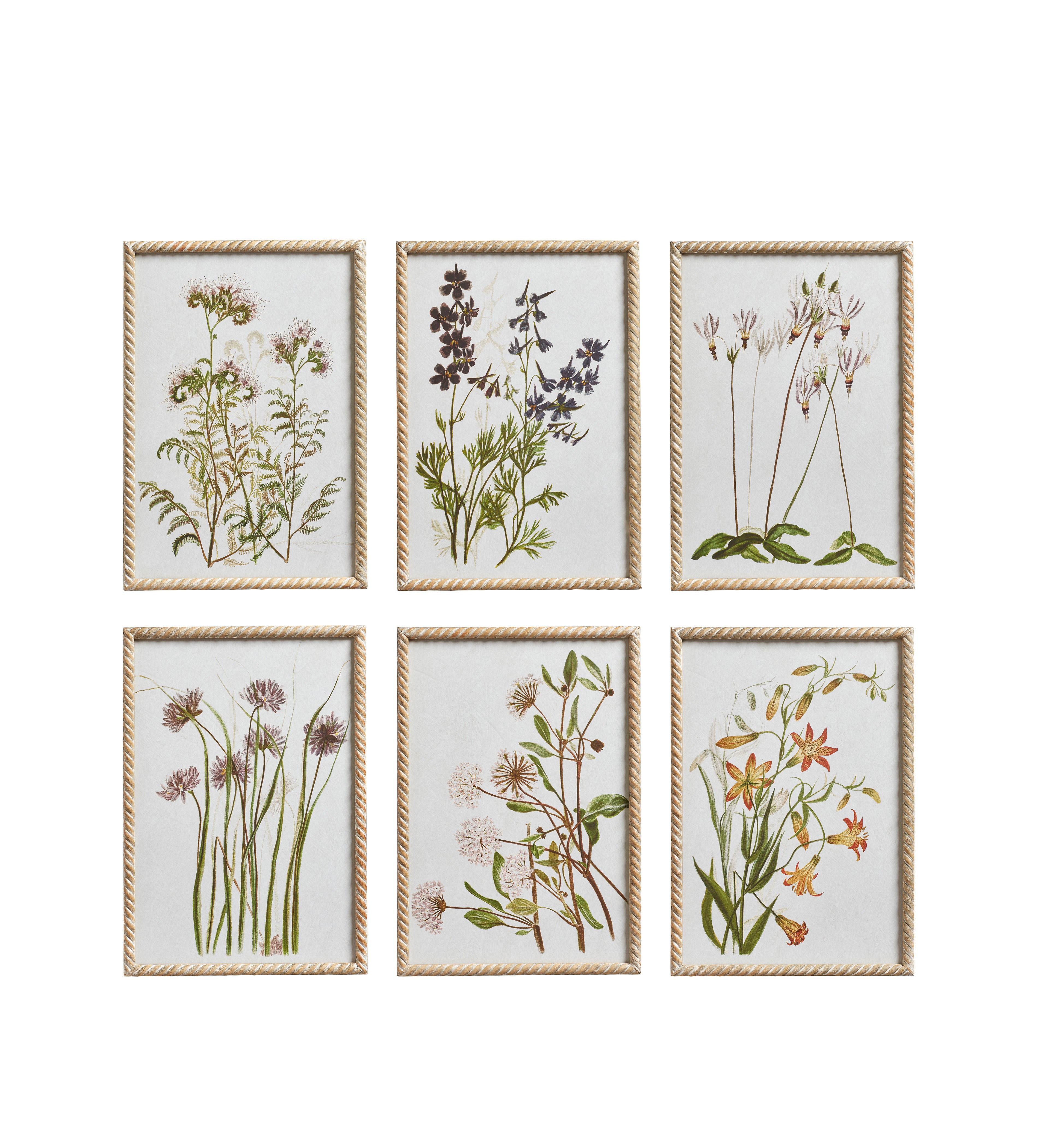 Floral Prints - Set of Six - Multi-Coloured | OKA