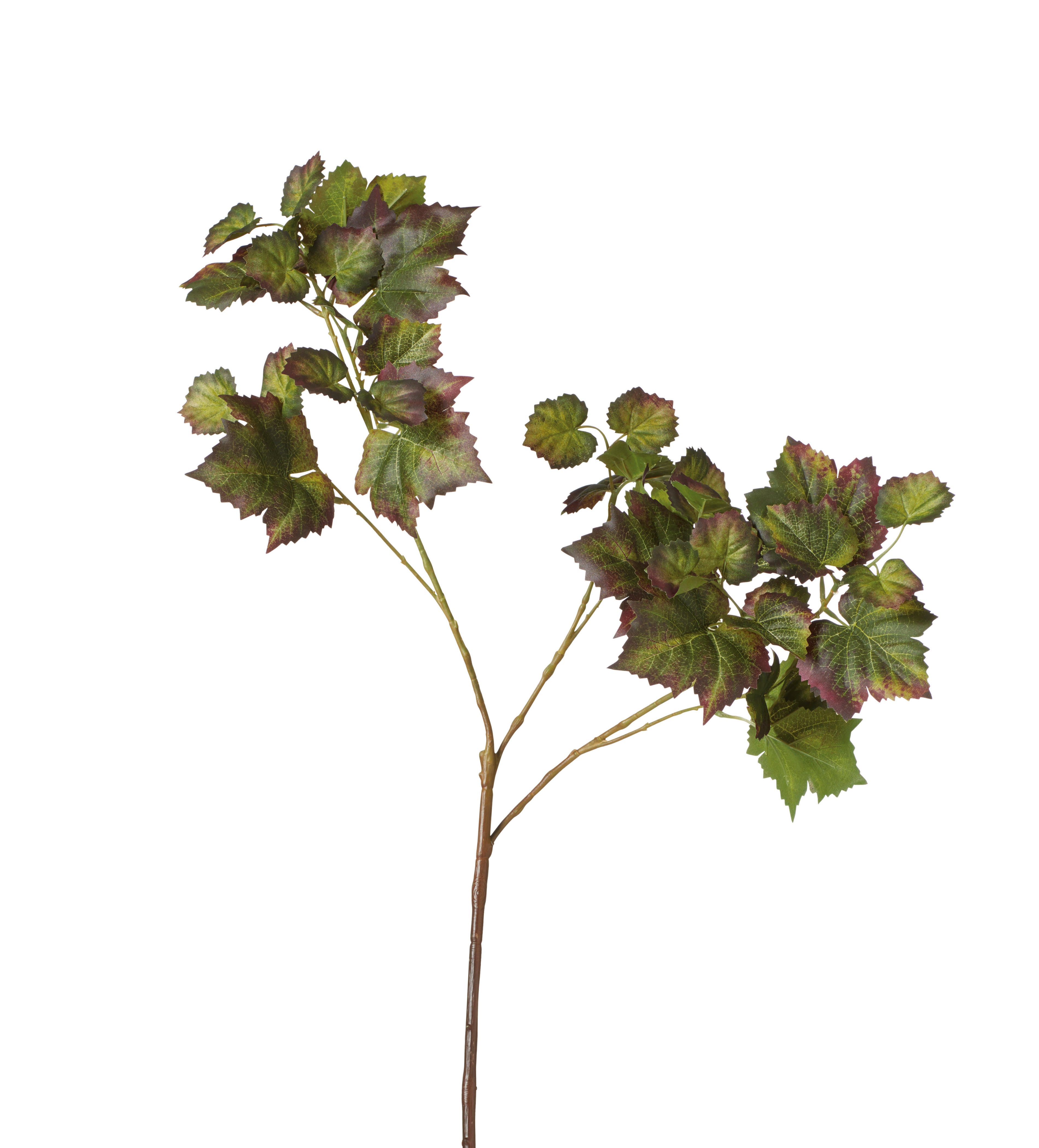Single Grape Leaf Stem - Large - Multi-Coloured | OKA